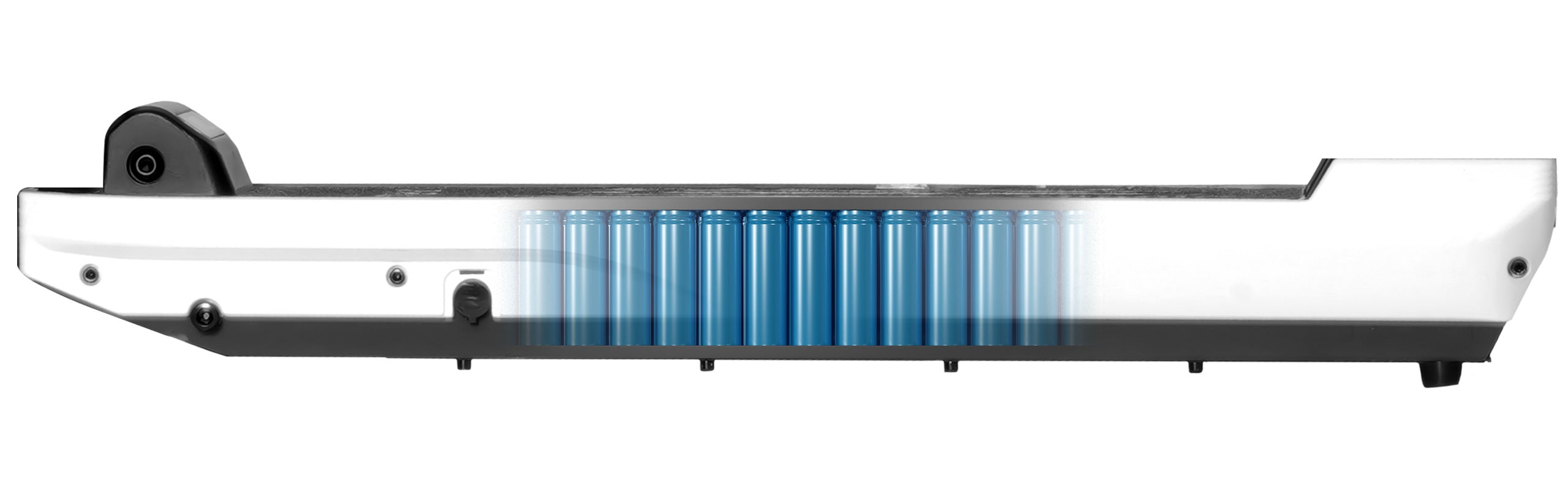 Wasp Portable Electric Scooter | ShopGovDirect